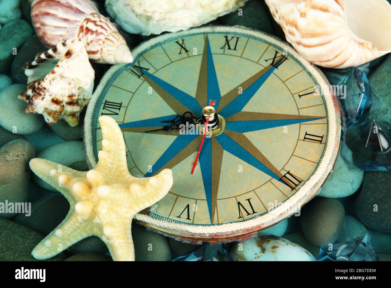 Stones shells on bottom hi-res stock photography and images - Alamy