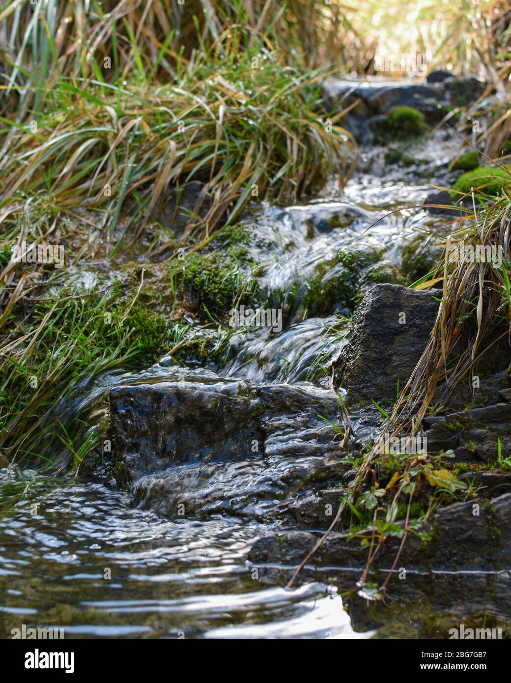 Creating moisture hi-res stock photography and images - Alamy