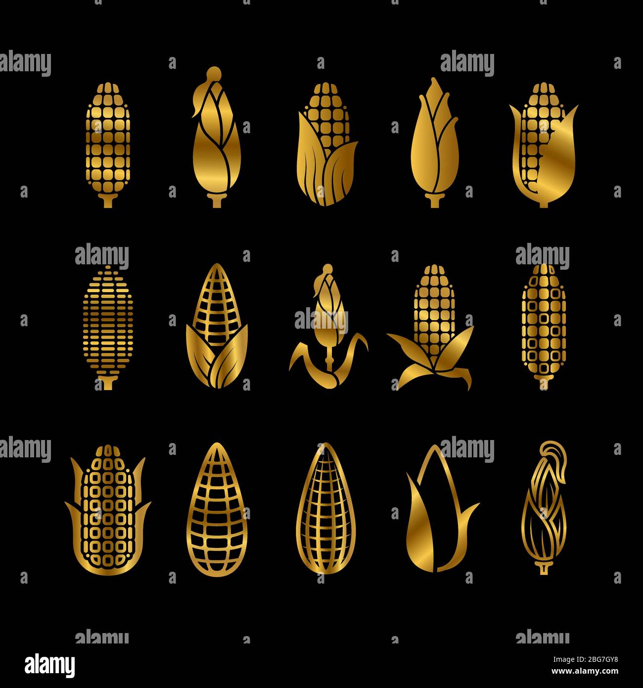 Fresh golden corn harvest vector icons set isolated on black ...