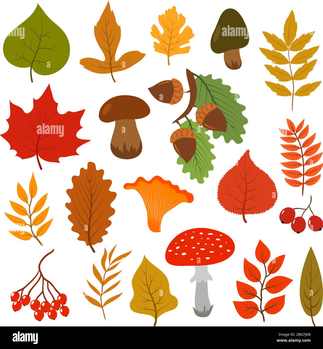 Falling Autumn Leaves Animation