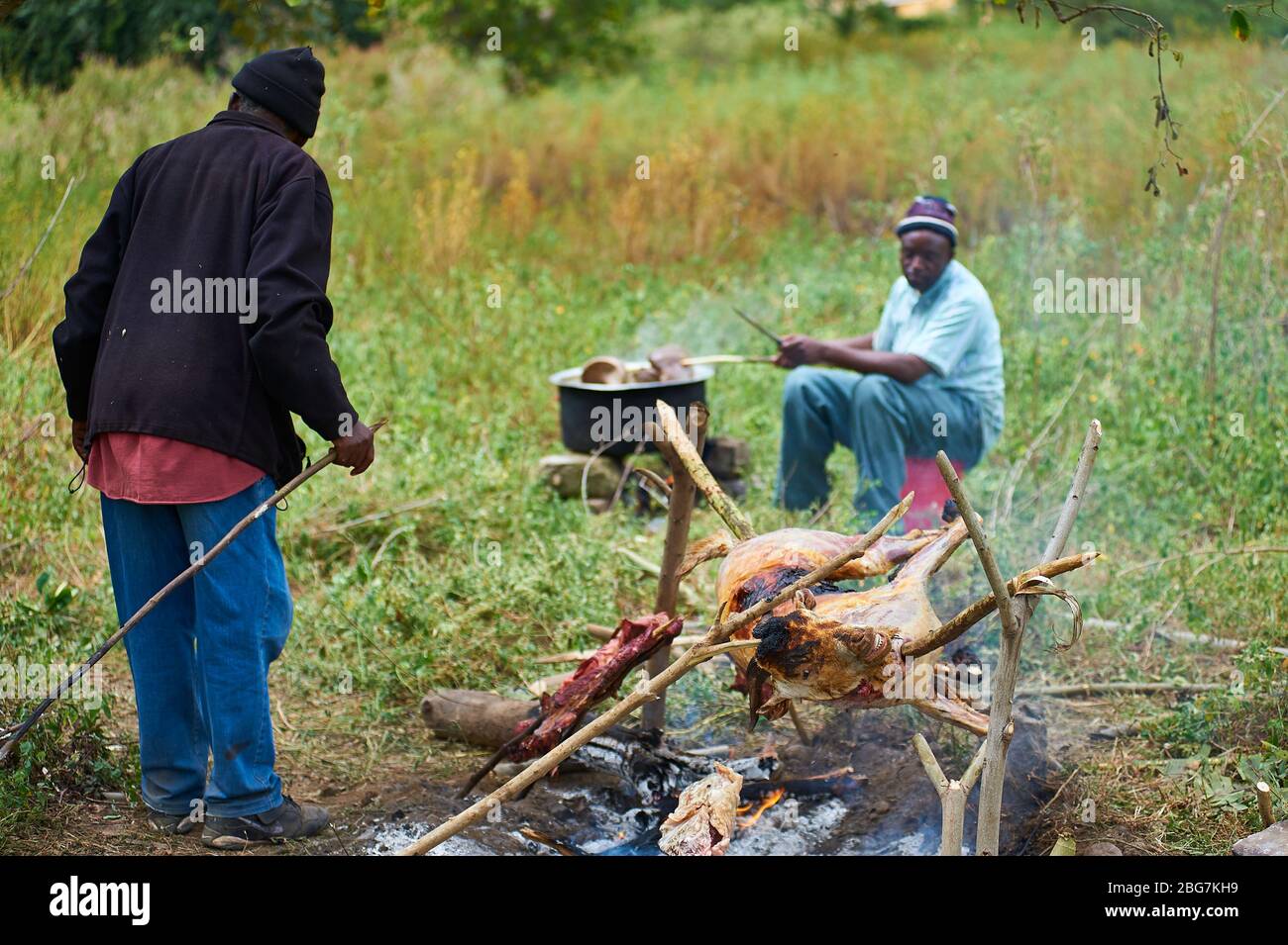 Maasai preparing a goat for a traditional barbecue Stock Photo - Alamy