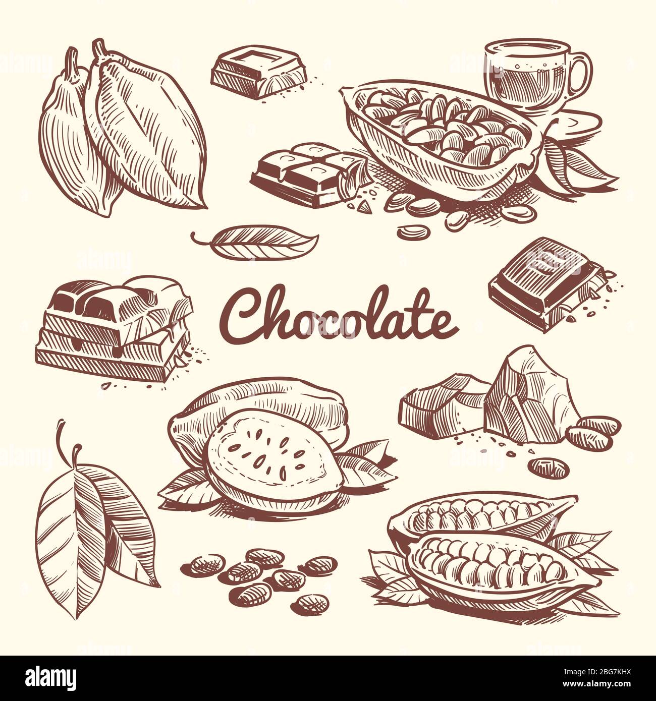 Hand drawn cacao, leaves, cocoa seeds, sweet dessert and chocolate bar ...