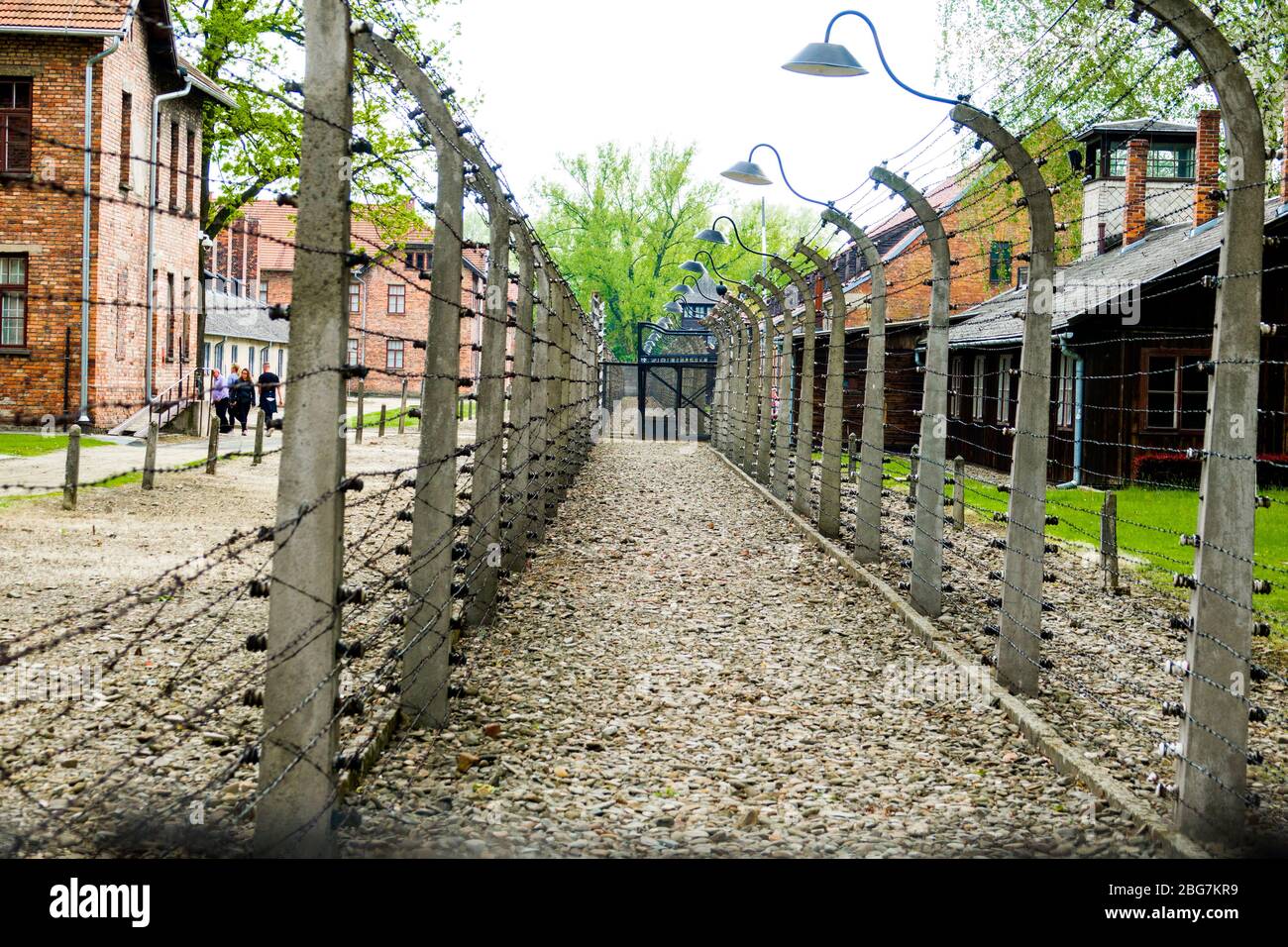 Auschwitz Birkenau Concentration Camp Oświęcim Barbed wire electrified ...