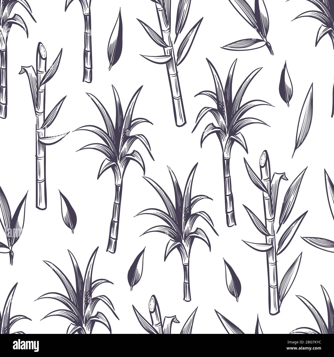 Bamboo cane texture Stock Vector Images - Alamy