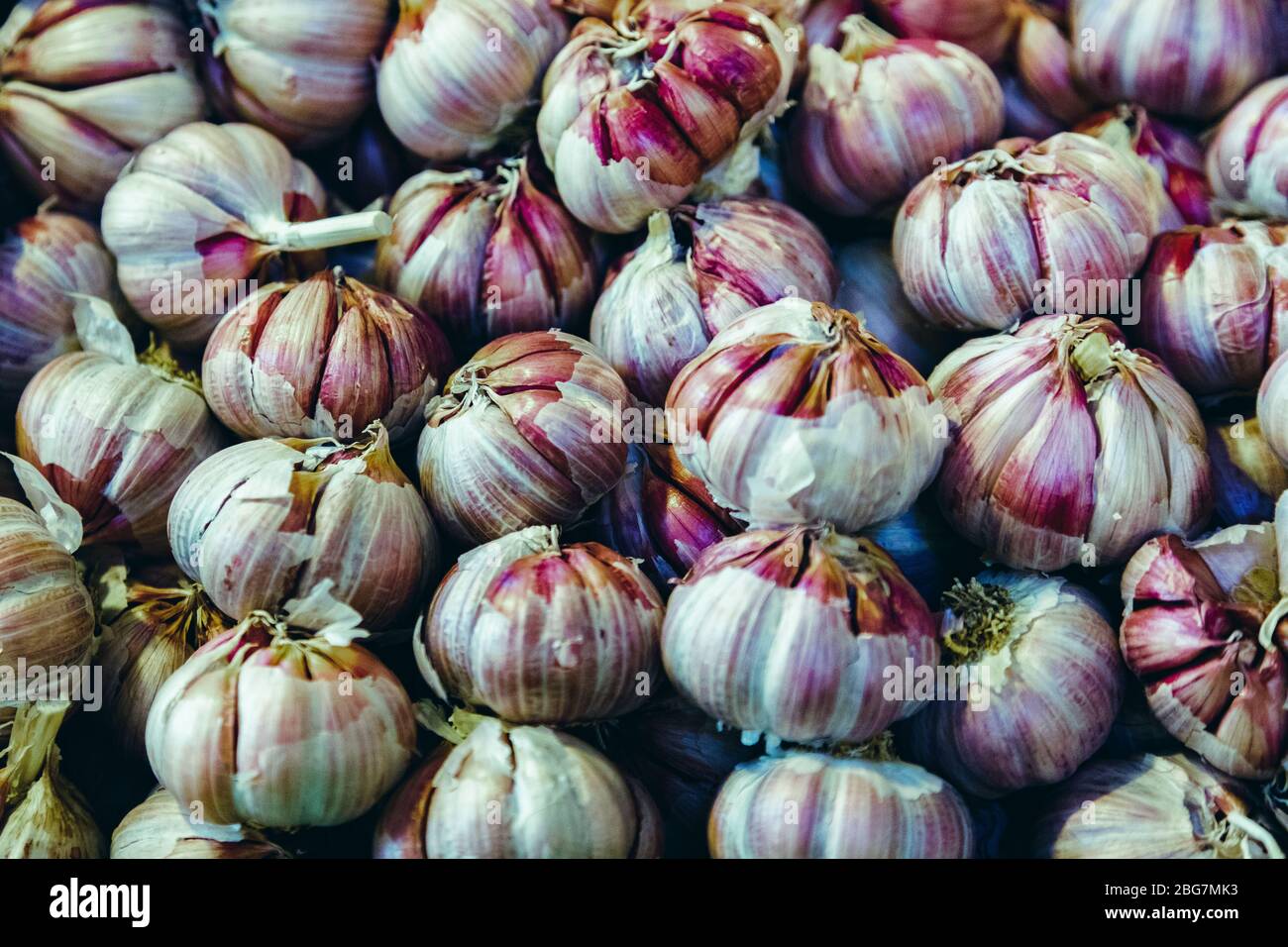 fresh garlic in a market in Tanger, Morroco Stock Photo - Alamy