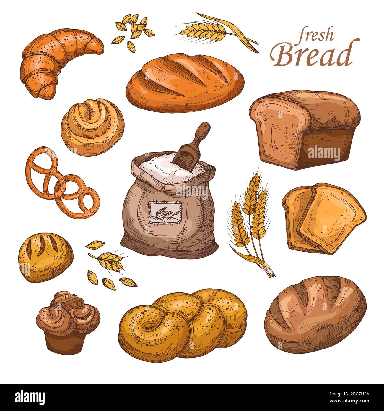 Cartoon bread, fresh bakery product, flour, ears of wheat. Hand drawn ...