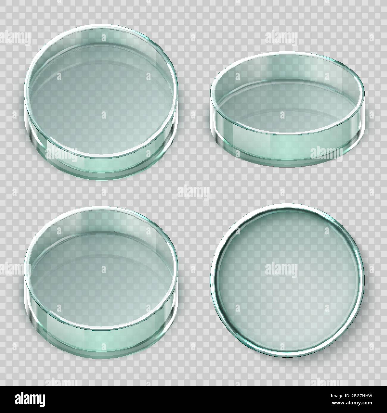Empty glass petri dish. Biology lab dishes vector illustration isolated ...