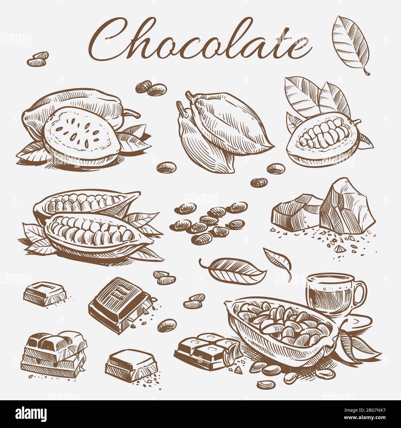 Chocolate elements collection. Hand drawing cocoa beans of set and ...