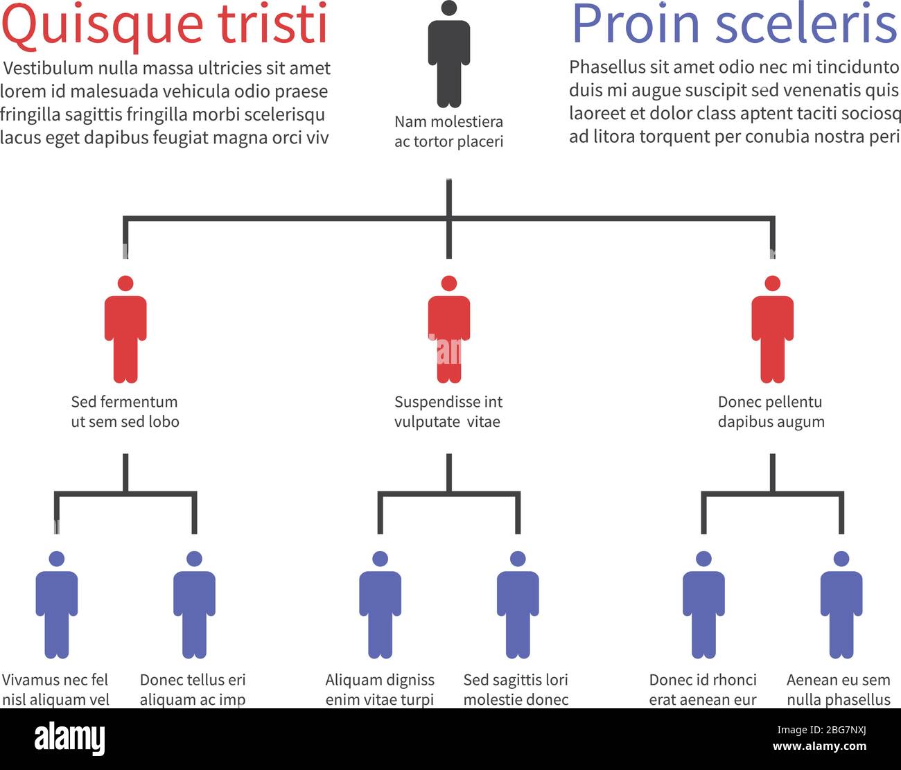 Pyramid hierarchy chart, business organization structure with people ...