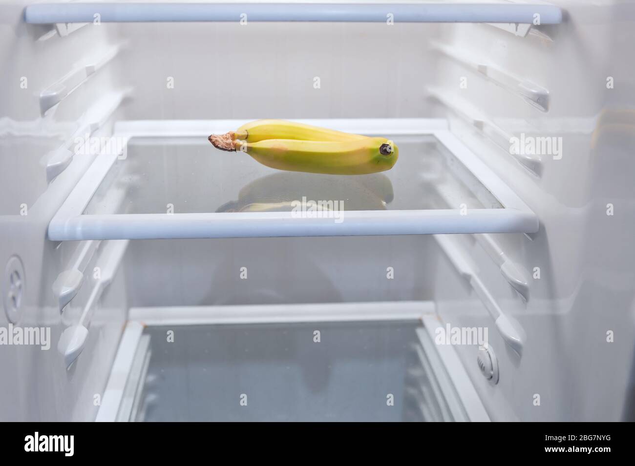 Empty Refrigerator Hunger