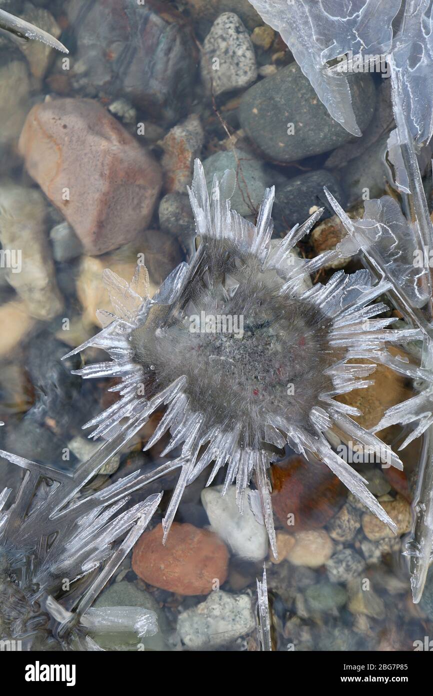 Ice wonderland hi-res stock photography and images - Alamy