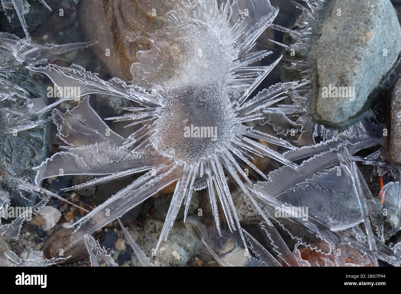 Ice wonderland hi-res stock photography and images - Alamy