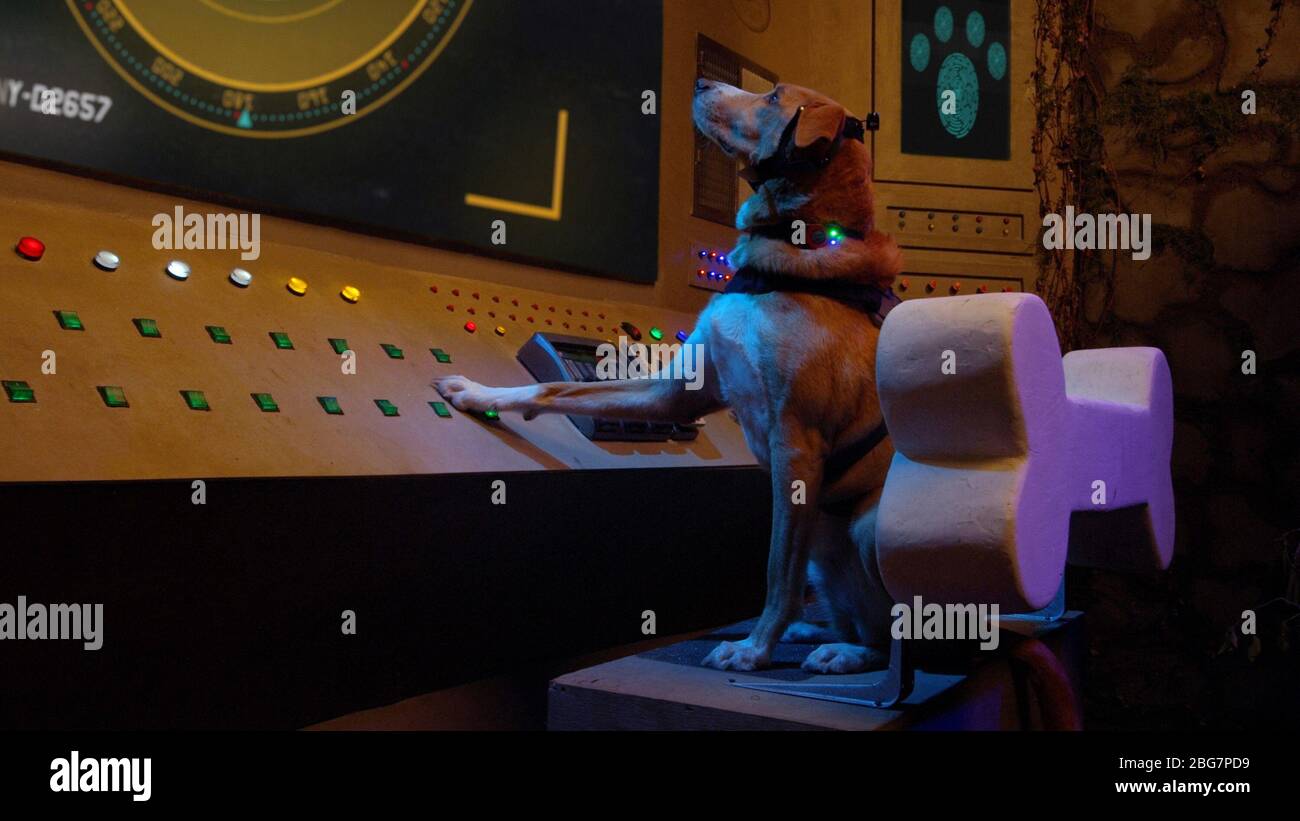 AGENT TOBY BARKS, Toby Barks (voice: Jon Lovitz), 2020. © Lionsgate ...