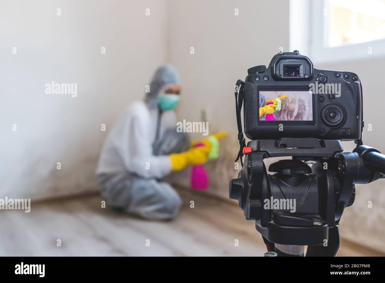Close up of a video camera filming how woman cleaning mold from wall ...