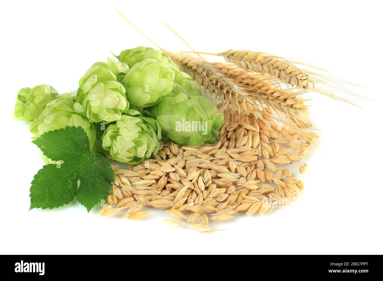 Barley agronomy Cut Out Stock Images & Pictures - Alamy