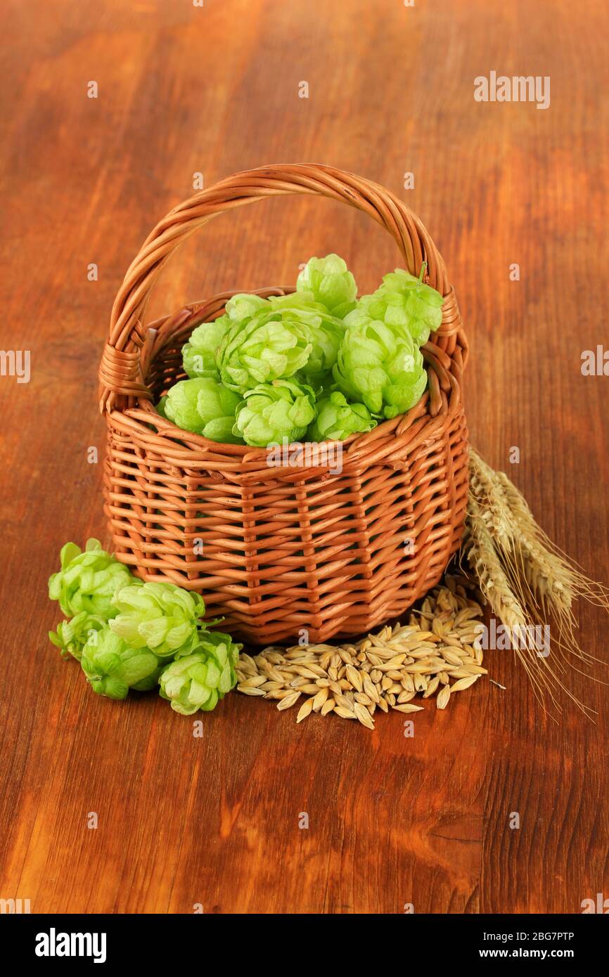 Fresh green hops in wicker basket and barley, on wooden background ...