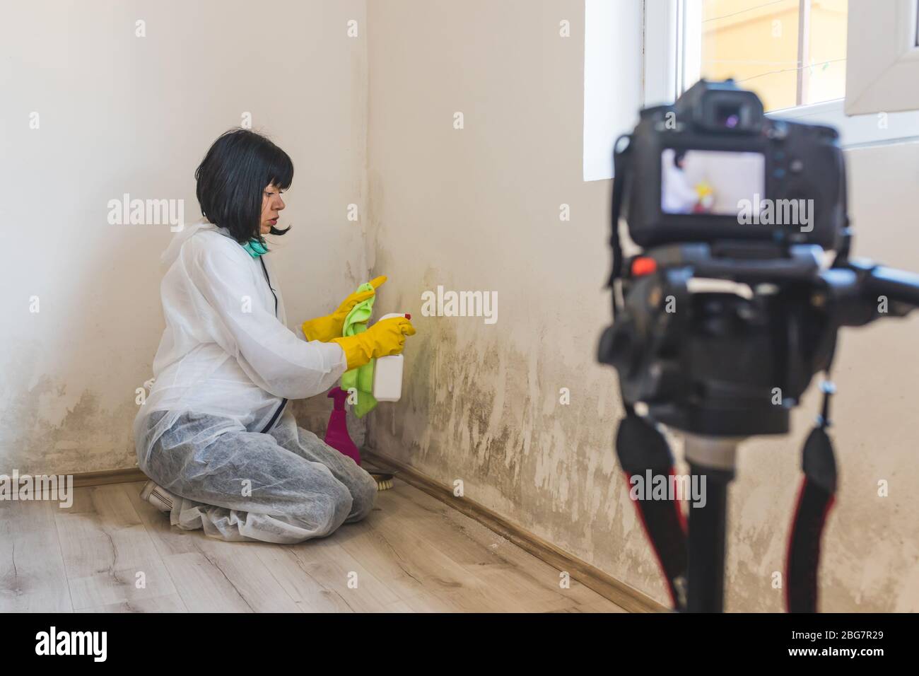 Video camera filming how woman cleaning mold from wall using spray ...