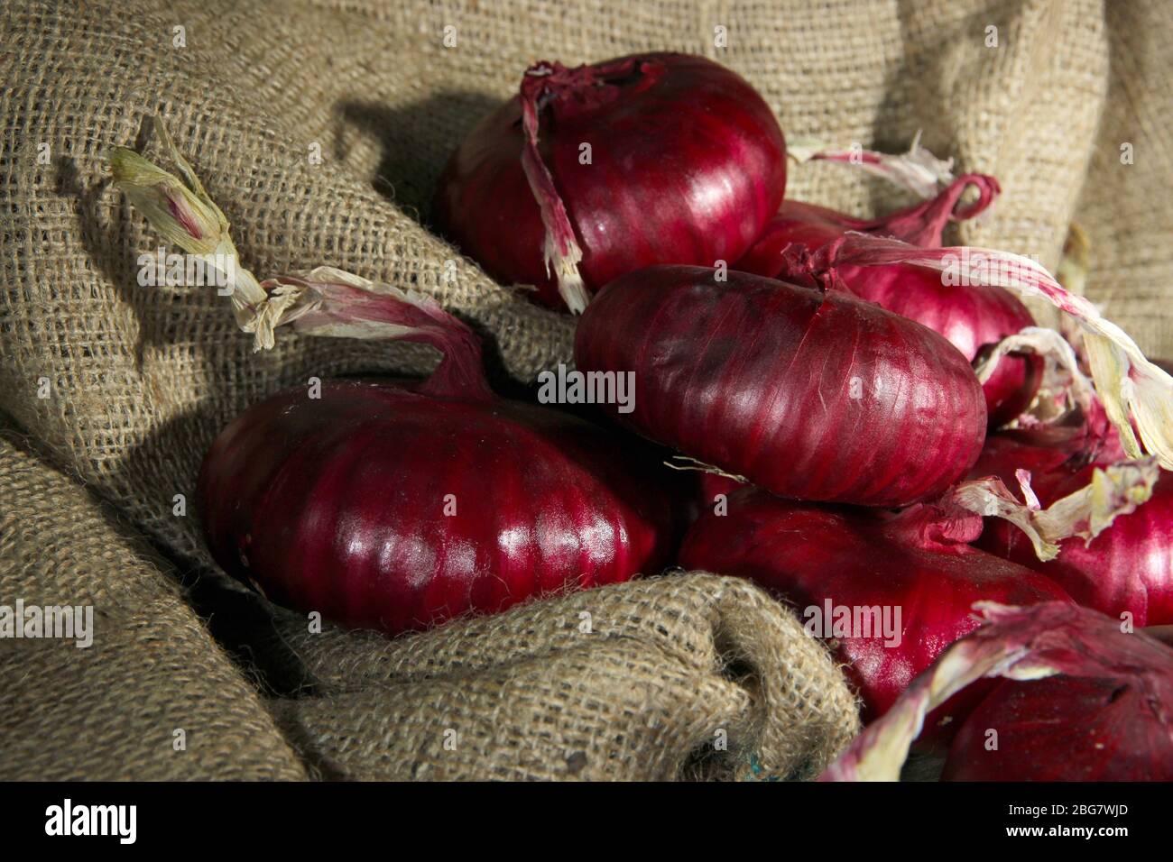 Fresh red onions in cellar Stock Photo - Alamy