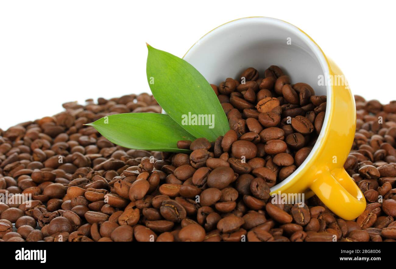 Coffee beans in cup on white background Stock Photo - Alamy