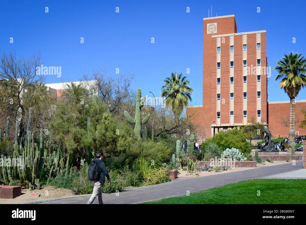 Cacti garden landscaping surrounds the Graduate College building with ...
