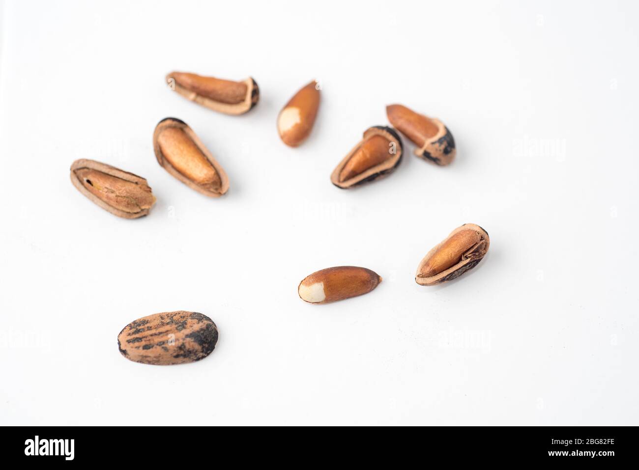 Pine cone seeds hi-res stock photography and images - Alamy