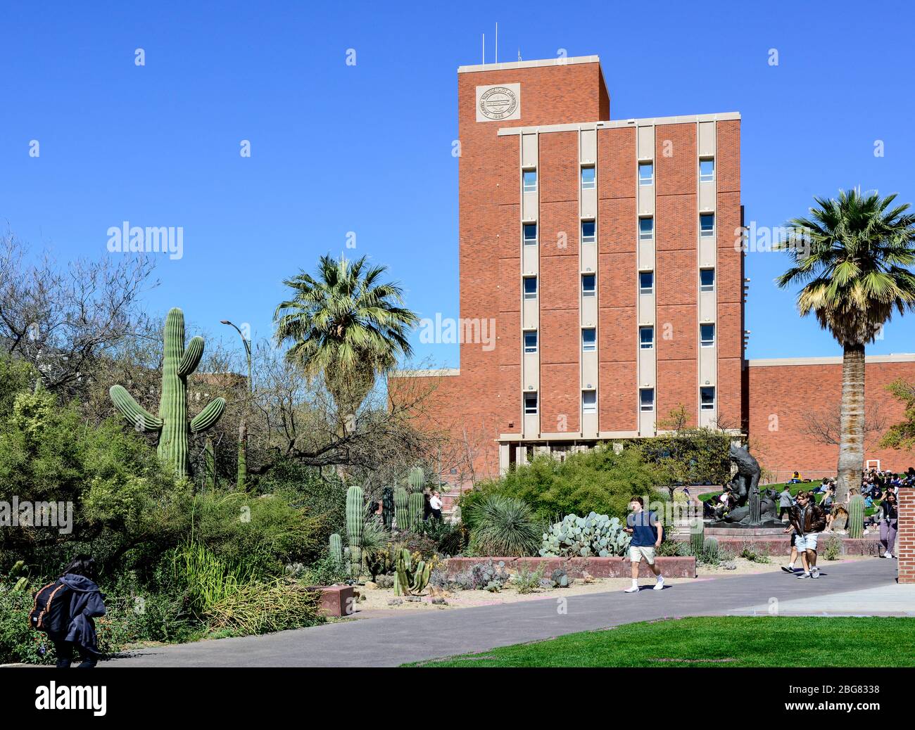 University of arizona tucson campus hi-res stock photography and images ...