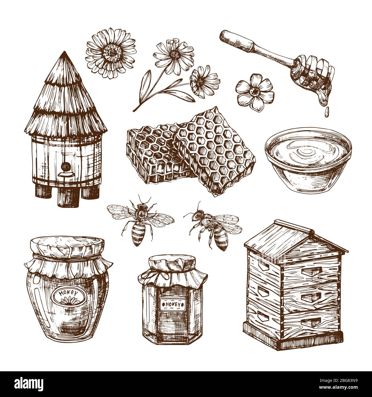 Honey sketch. Bee and honeyed flower, honeycomb and hive. Hand drawn ...