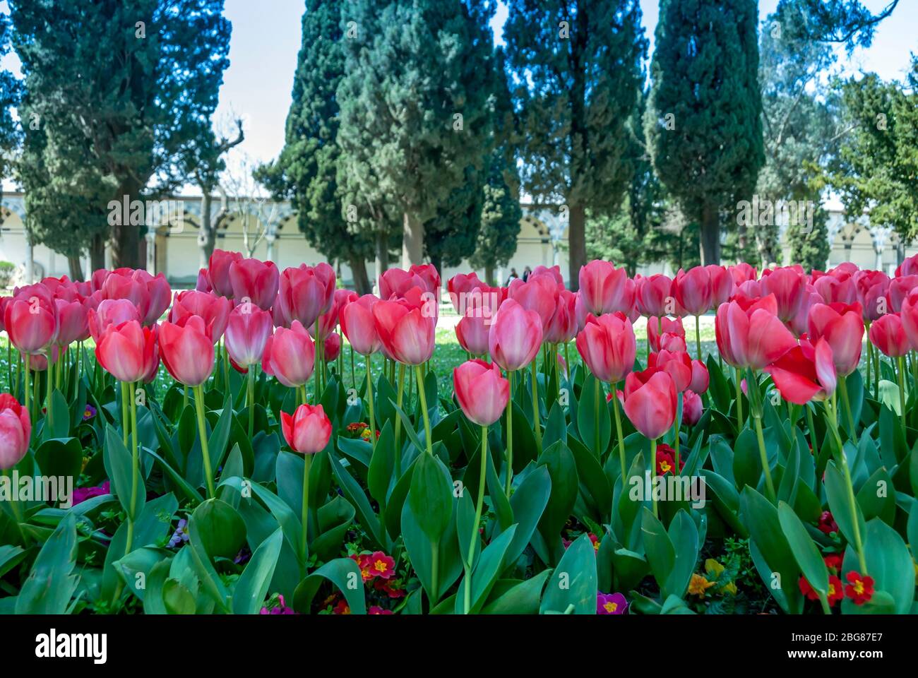 Istanbul, Turkey, 12 April 2007: Topkapi Palace, Garden, Tulips Stock ...