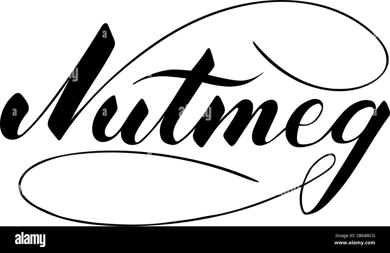 Vector hand written nutmeg text isolated on white background. Kitchen ...