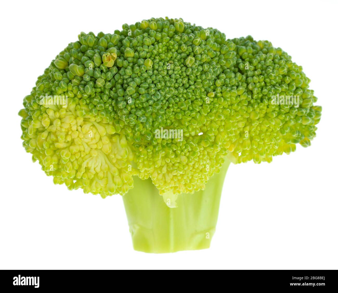 Broccoli isolated on white Stock Photo - Alamy