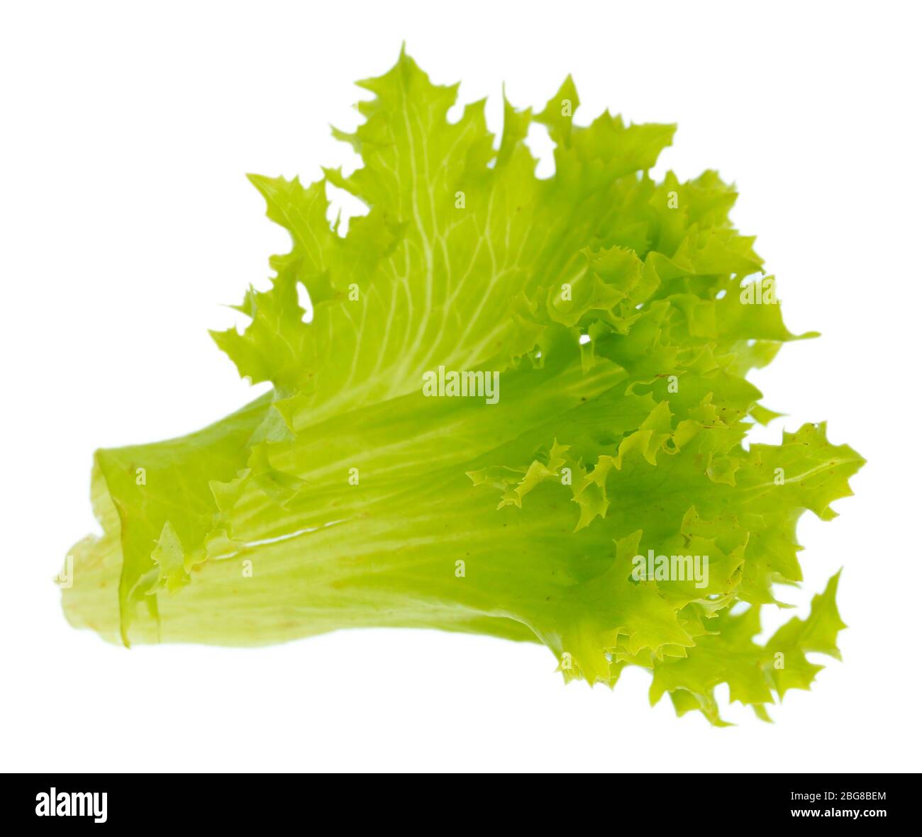 Salad isolated on white Stock Photo - Alamy