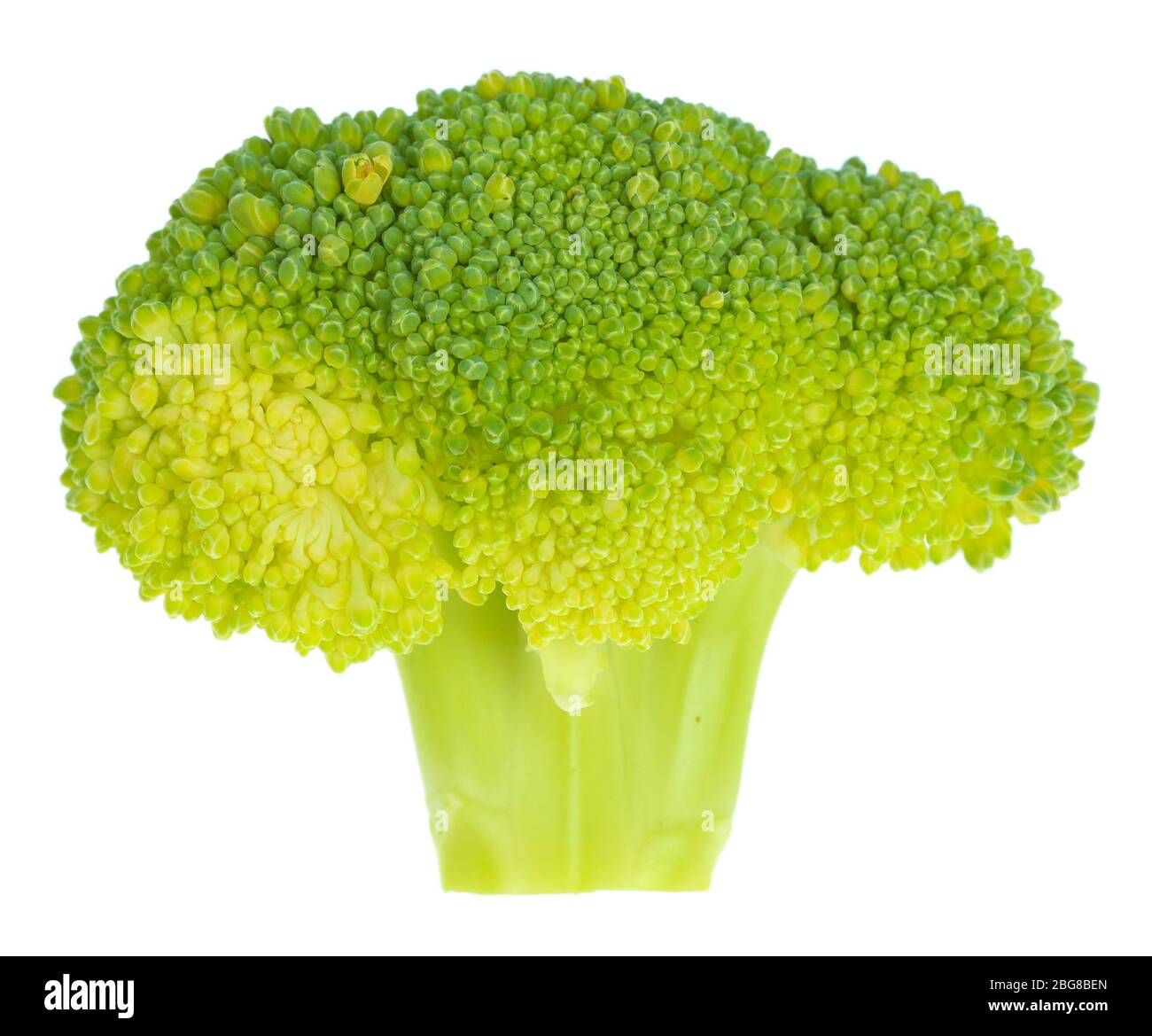 Broccoli isolated on white Stock Photo - Alamy