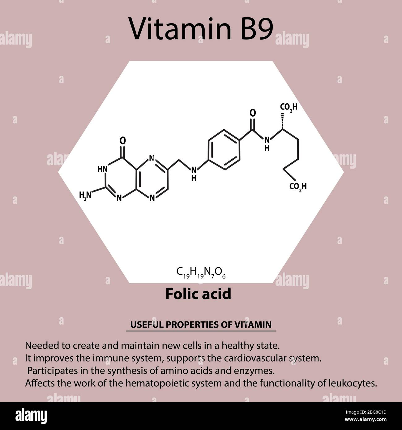 Vitamin B9 Structure