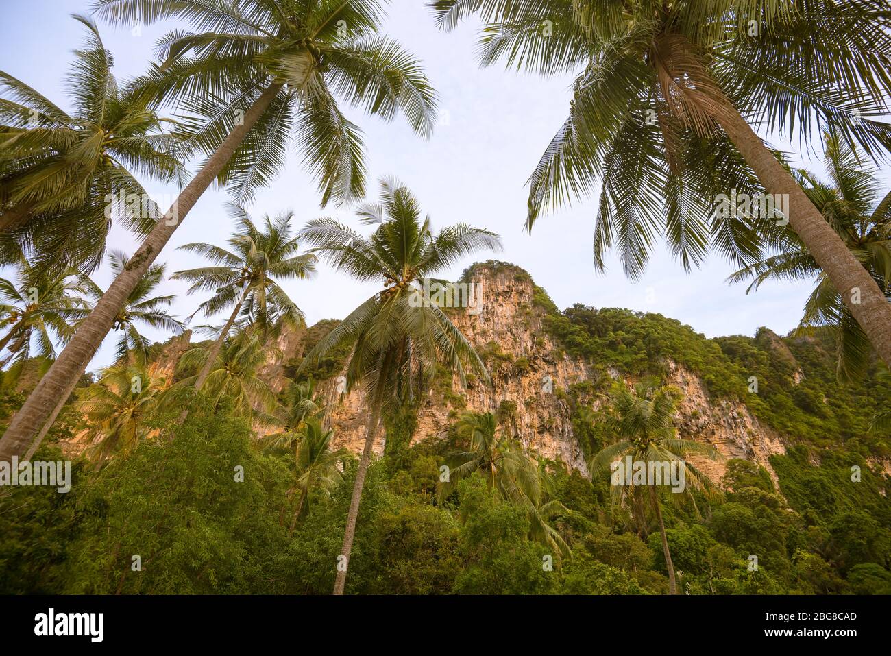 Karst rock formation and palm trees Stock Photo - Alamy