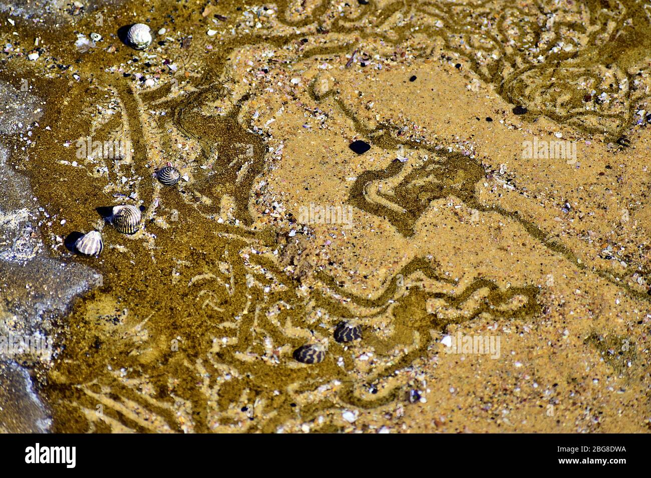 Shoreline trails hi-res stock photography and images - Alamy