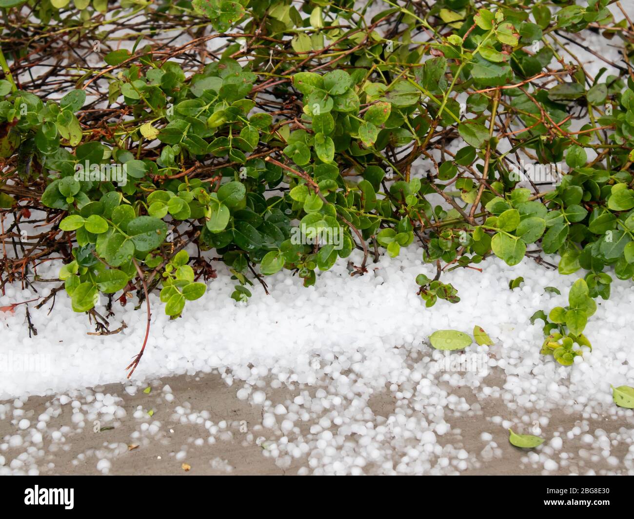Hail Storm in Arizona Desert Stock Photo - Alamy