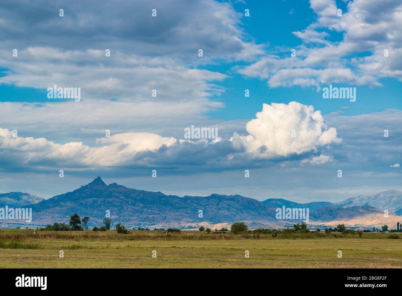 Pelagonia hi-res stock photography and images - Alamy