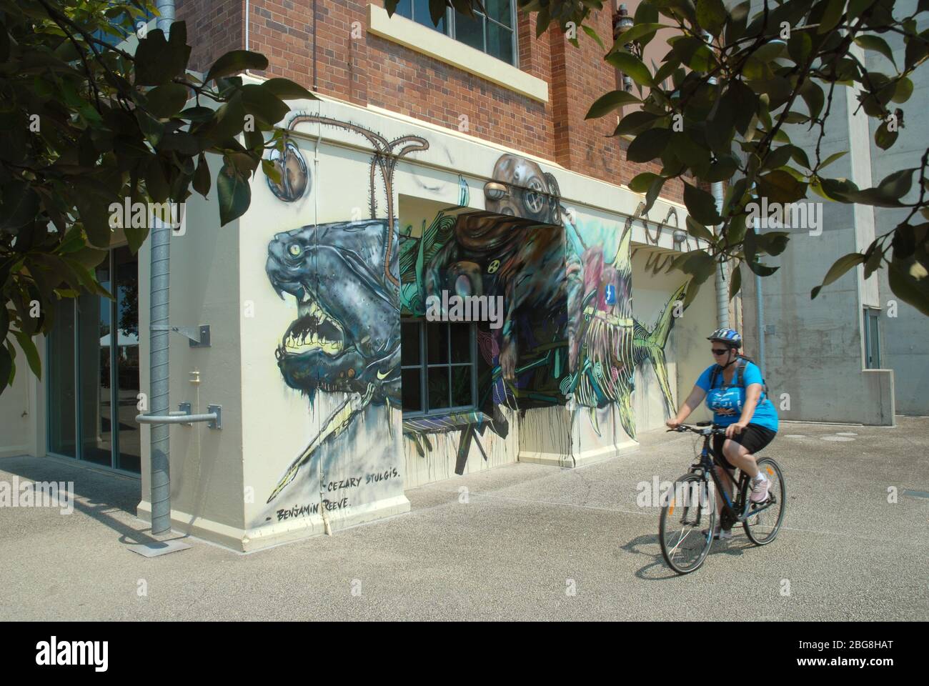 Graffiti and Painted Murals, Brisbane Powerhouse, New Farm, Brisbane ...