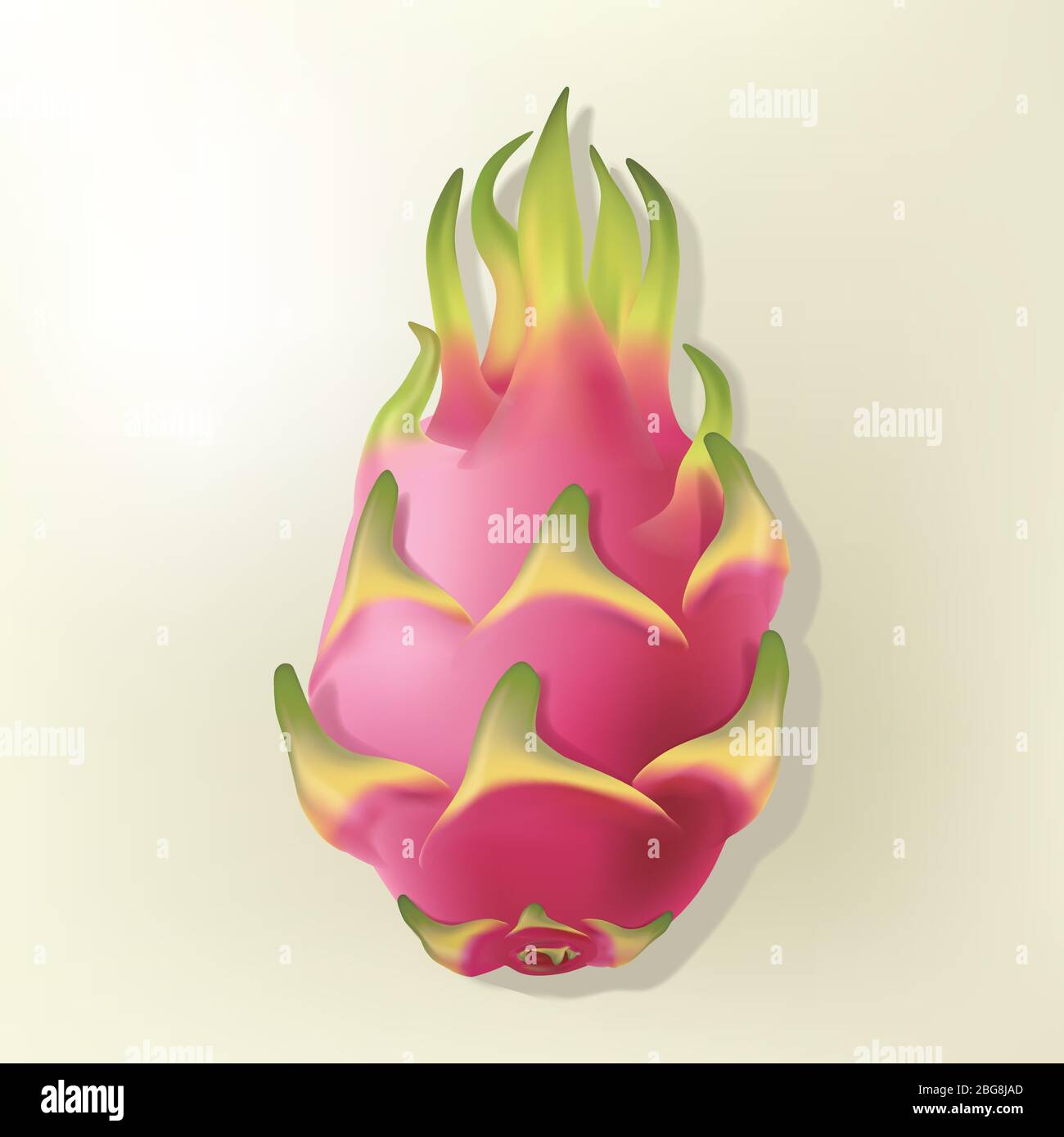 Vector Realistic Pitaya or Dragon Fruit Illustration Stock Vector Image ...