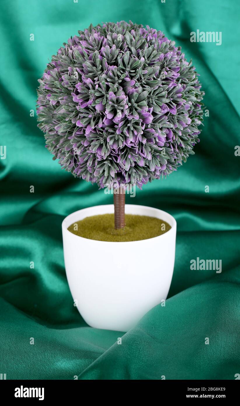 Decorative tree in pot on color fabric background Stock Photo - Alamy