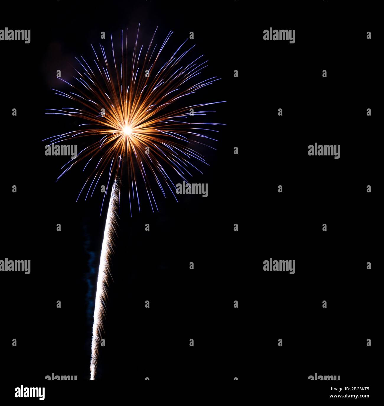 Blue pistil firework exploding with copy space Stock Photo - Alamy