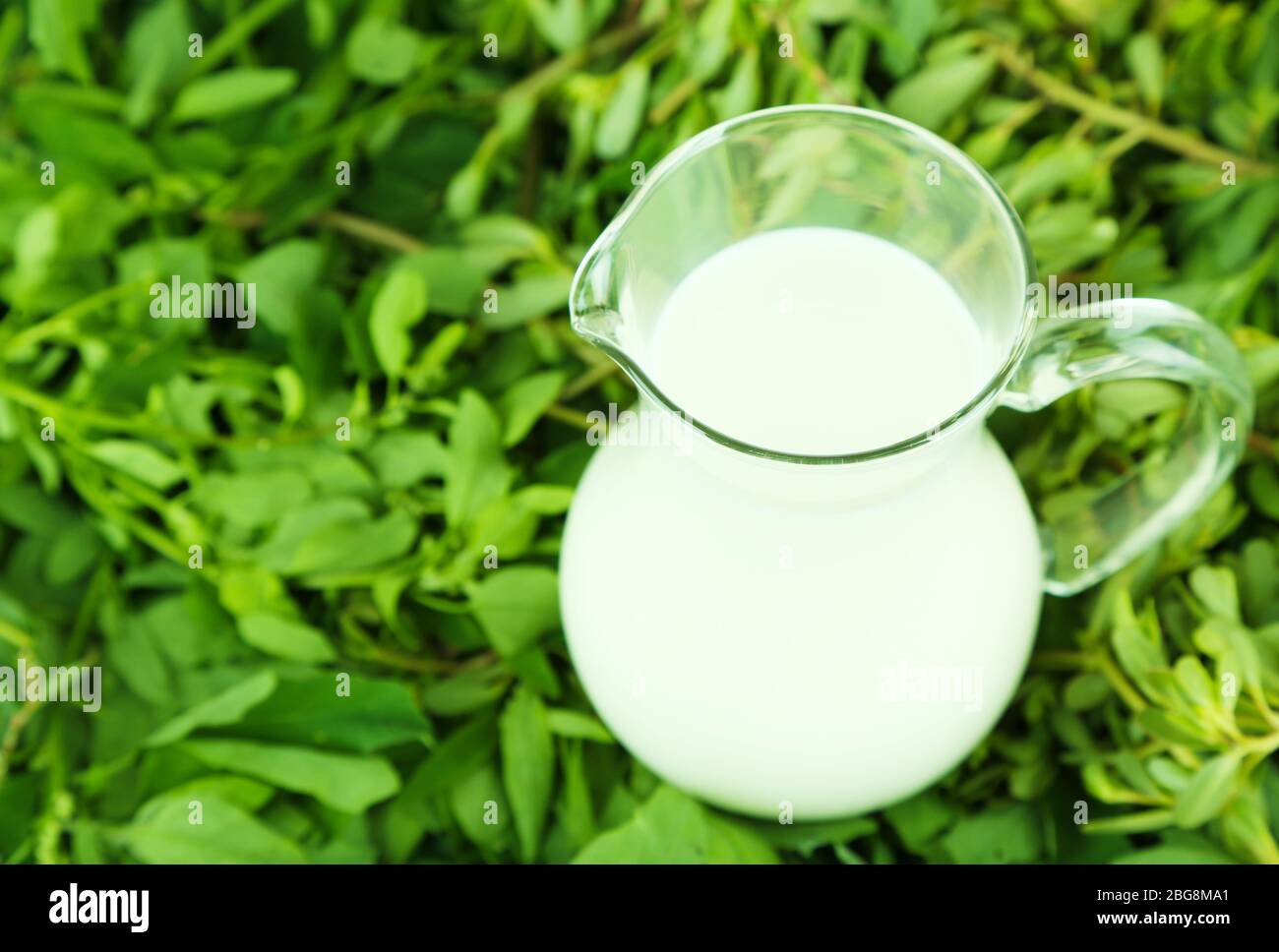 Pitcher of milk on grass Stock Photo - Alamy