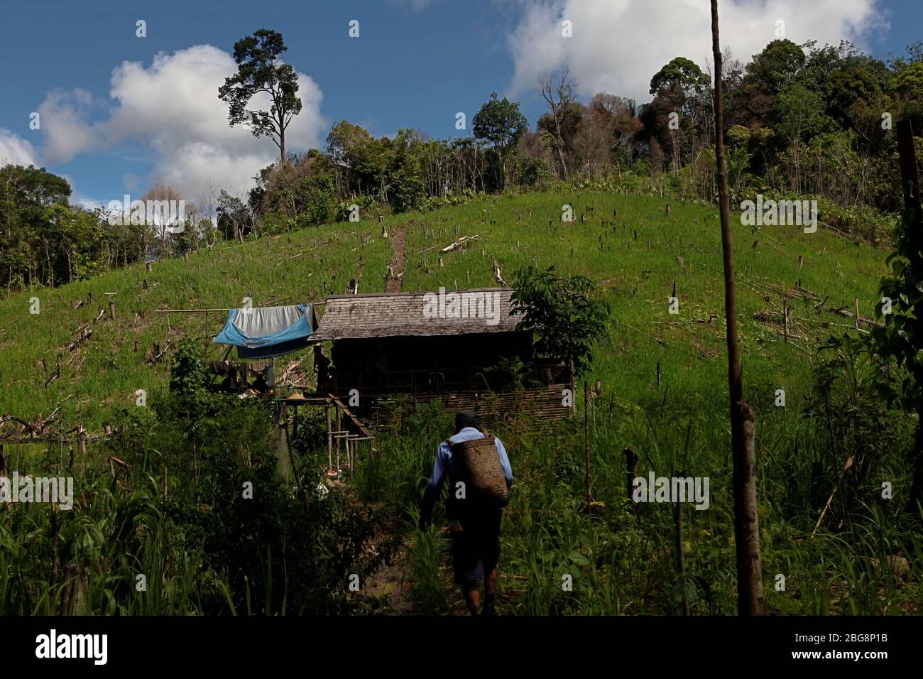 Swidden hi-res stock photography and images - Alamy