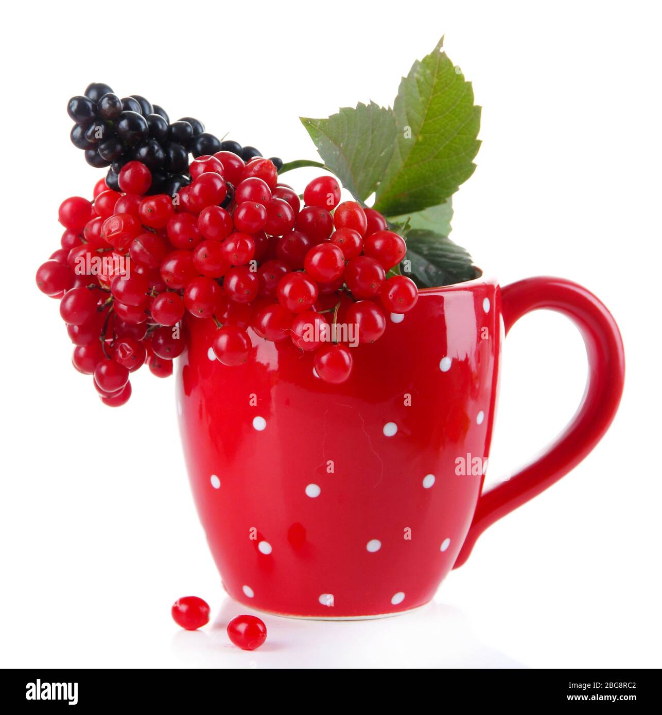 Red and black berries in cup, isolated on white Stock Photo - Alamy