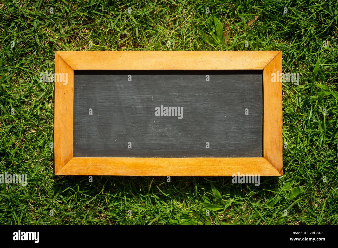 Empty chalk board on green grass background. Blank blackboard with ...
