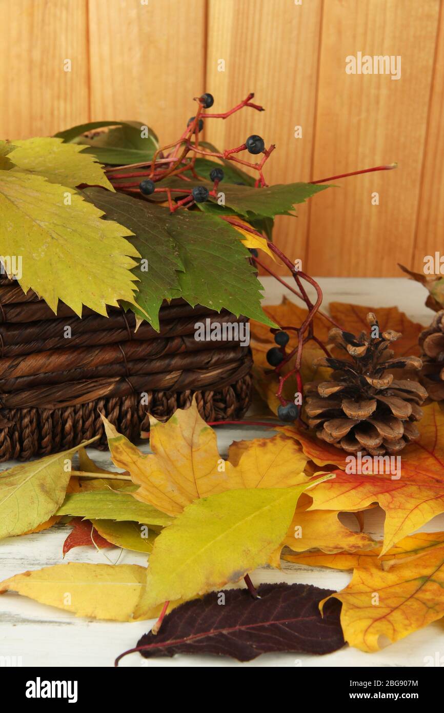 Bumps on leaves hi-res stock photography and images - Alamy