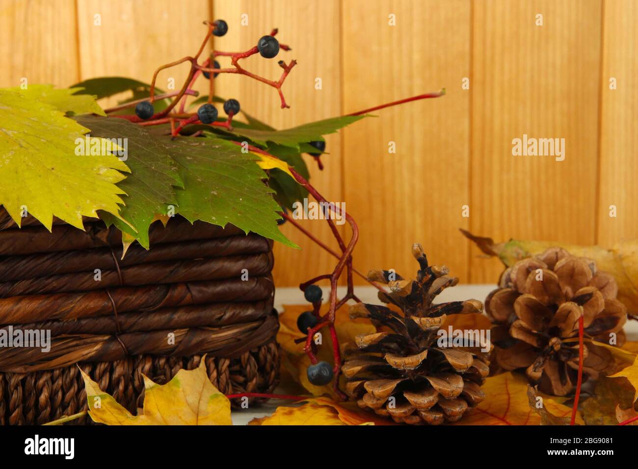 Bumps on leaves hi-res stock photography and images - Alamy