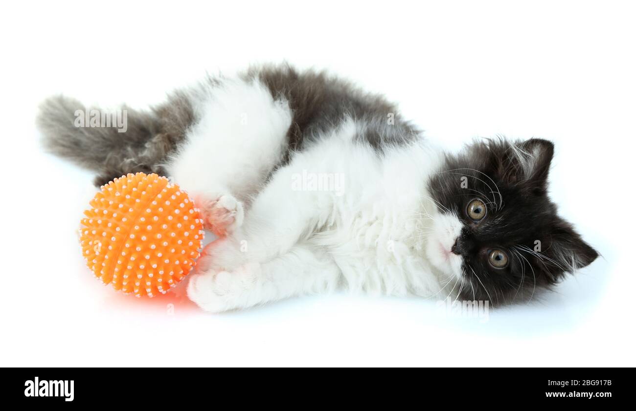 Little cute kitten with ball, isolated on white Stock Photo - Alamy