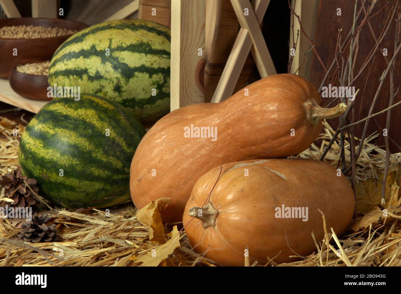 Watermelon bump hi-res stock photography and images - Alamy