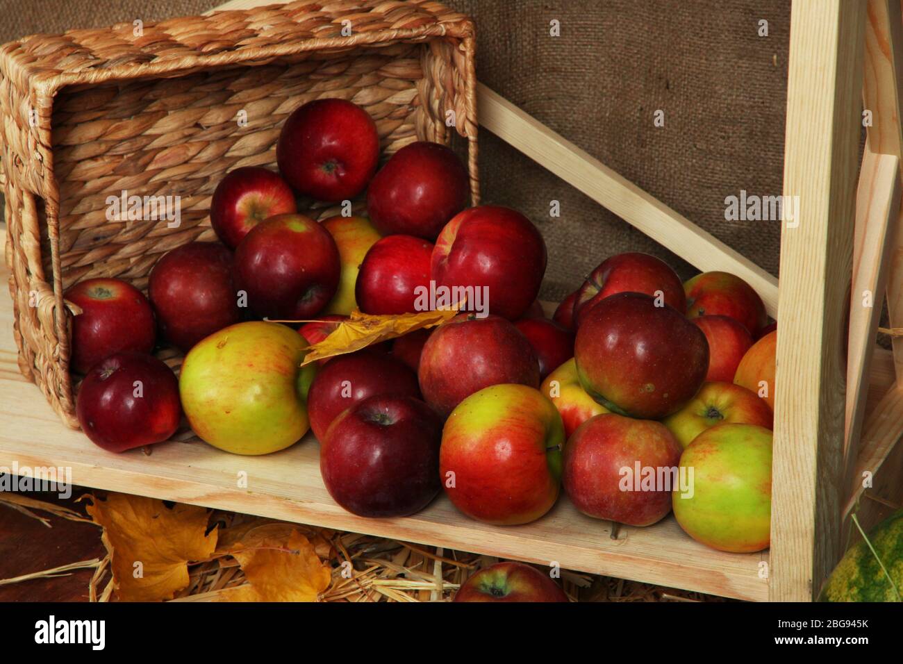 Natural cellar apple hi-res stock photography and images - Alamy